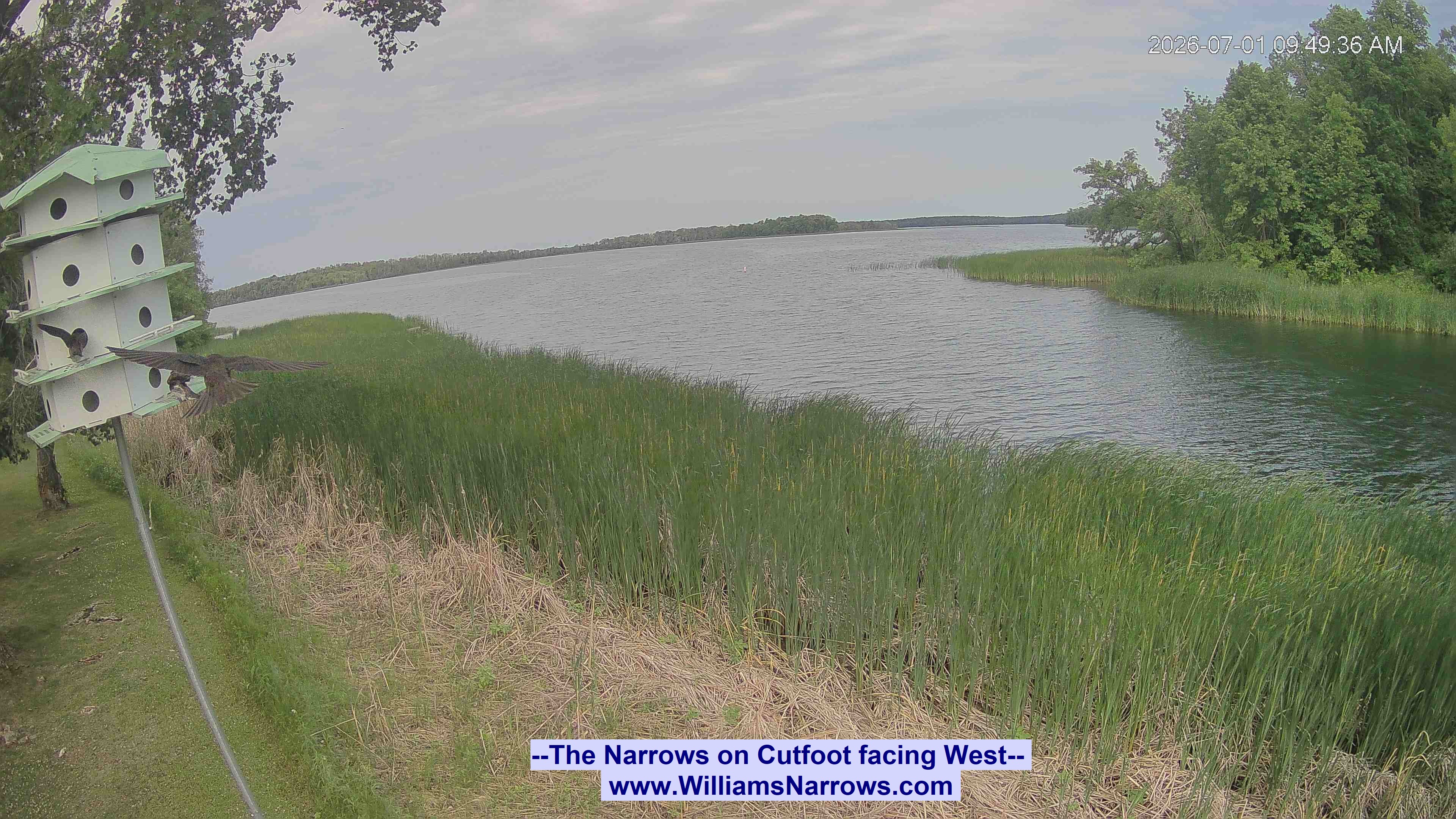 Minnesota Live Webcams - Deer River Cutfoot Lake West Webcam - Scenic.cam